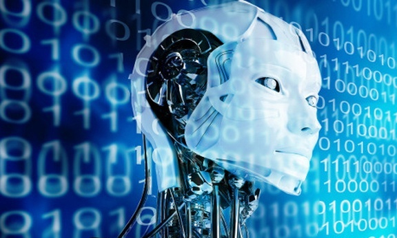 Dehumanising Human Services – literally | Red Flag