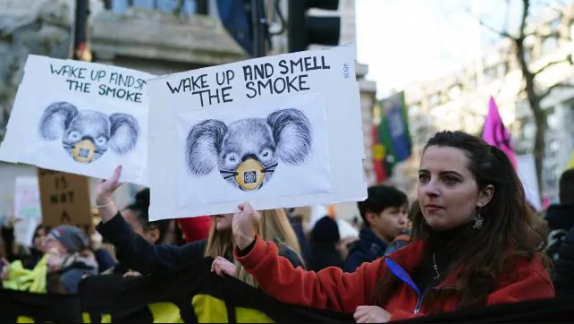 Yes, we need to protest during the bushfire crisis | Red Flag